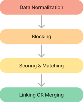 Article: Master Patient Index and Record Linkage